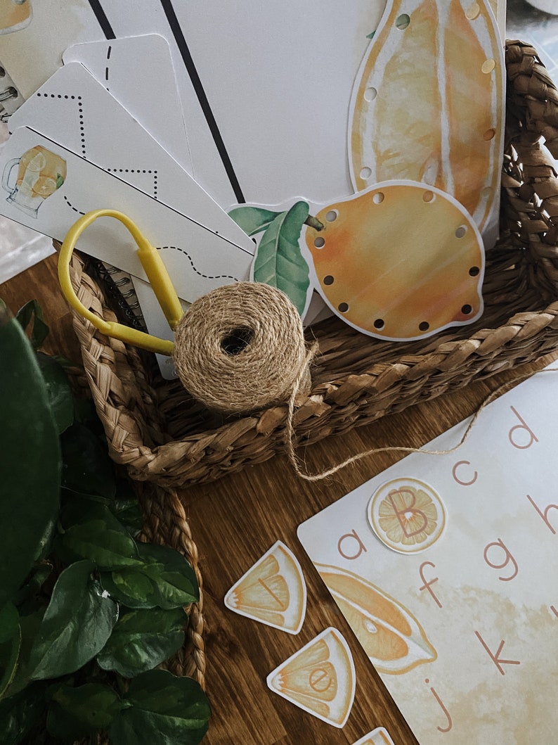 Lemonade Activity Unit, Lemonade Montessori Unit, Nature Flashcards ...