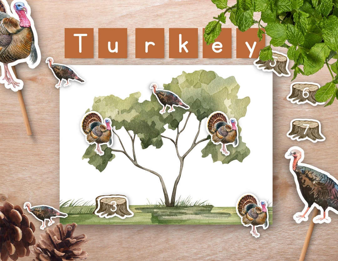 Turkey Counting Math Game, Montessori Activity, Preschool Math ...