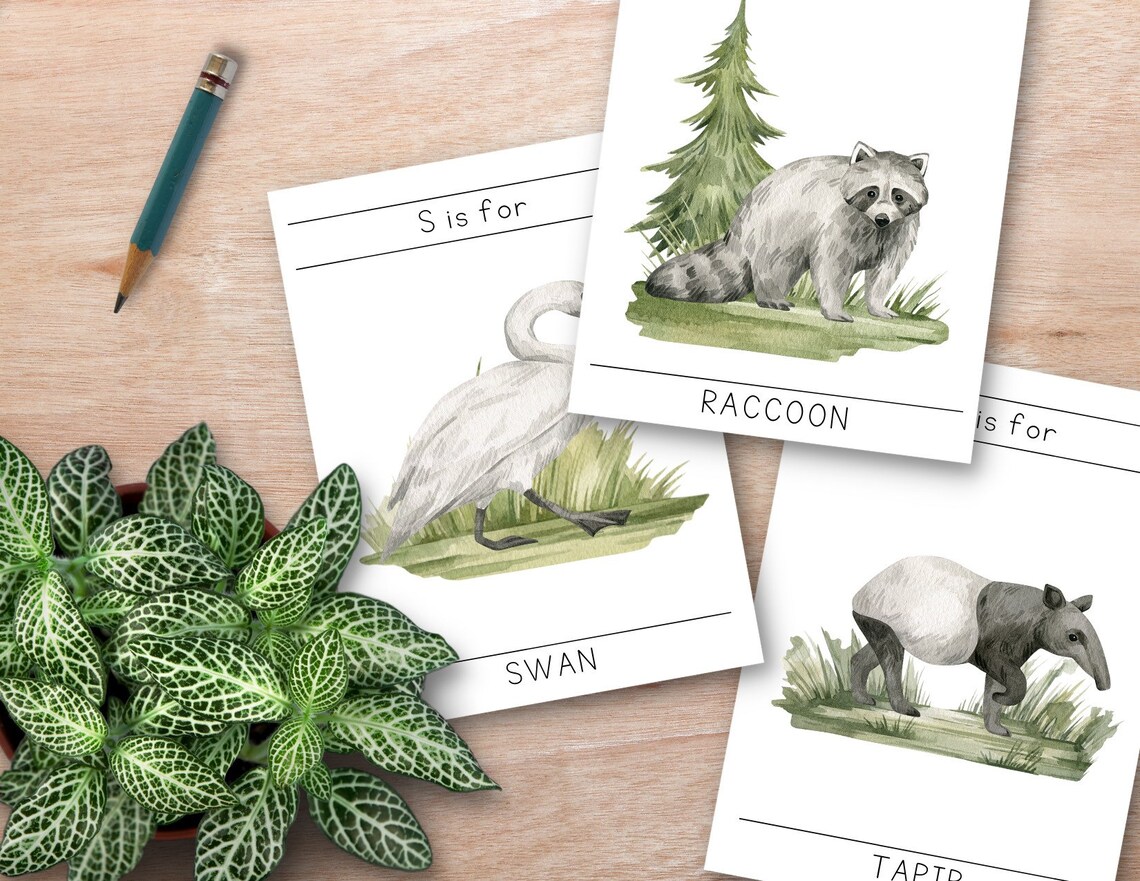 ABC Animal Alphabet Printable Flash Cards Classroom Art | Etsy