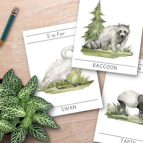 Animal Alphabet Flash Cards Watercolor Animals ABC - Etsy UK