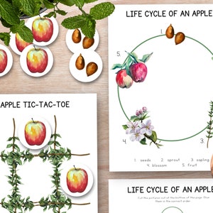 Apple Unit Study Bundle, Apple Study, Fall Montessori Unit, Nature ...