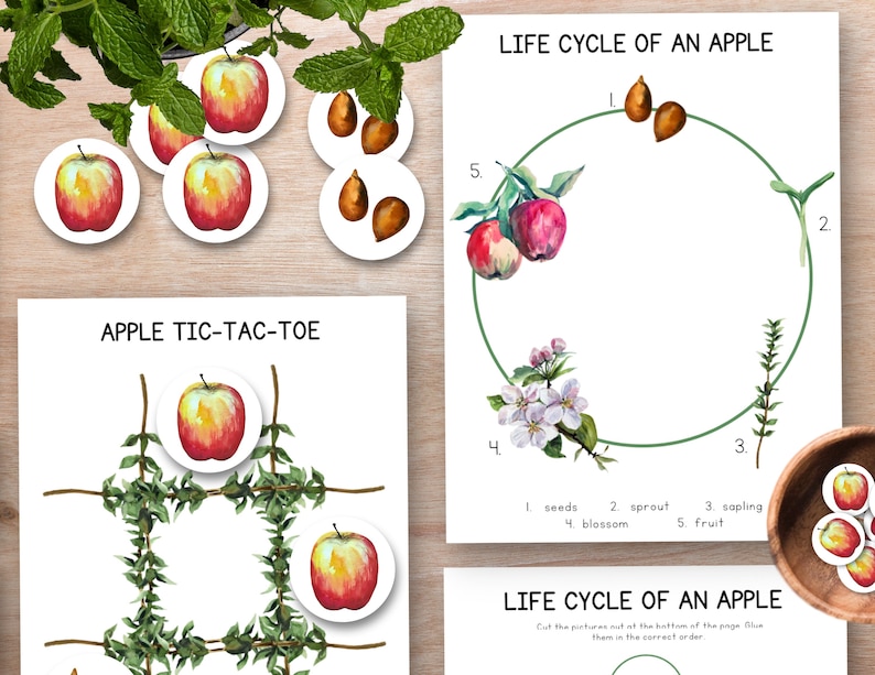 Apple Unit Study Bundle, Apple Study, Fall Montessori Unit, Nature ...