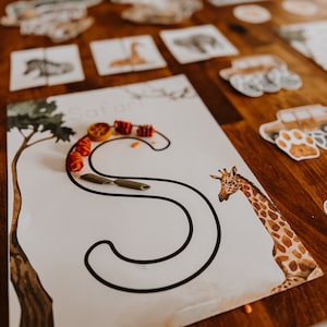 Safari Activity Unit, Safari Montessori Unit, African Animal Flashcards ...