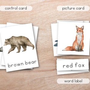 Forest Animal Flashcards Language Cards, 3 Part Montessori Nomenclature ...