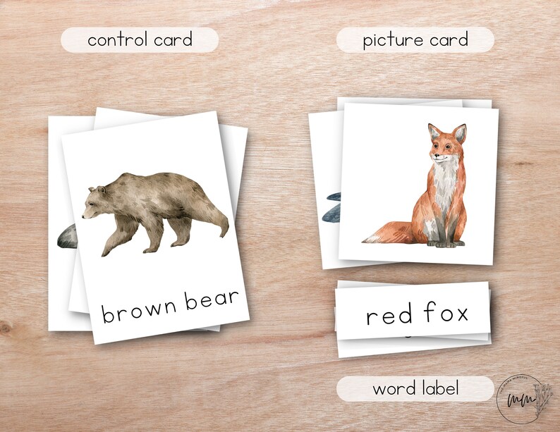 Forest Animal Flashcards Language Cards 3 Part Montessori - Etsy