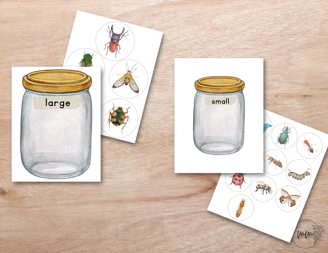Insect Size Sorting Activity Insect Size Match Montessori - Etsy