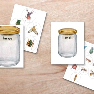 Insect Size Sorting Activity, Insect Size Match, Montessori Nature Unit ...