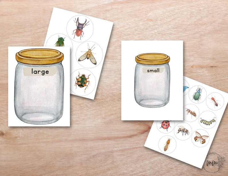 Insect Size Sorting Activity Insect Size Match Montessori - Etsy