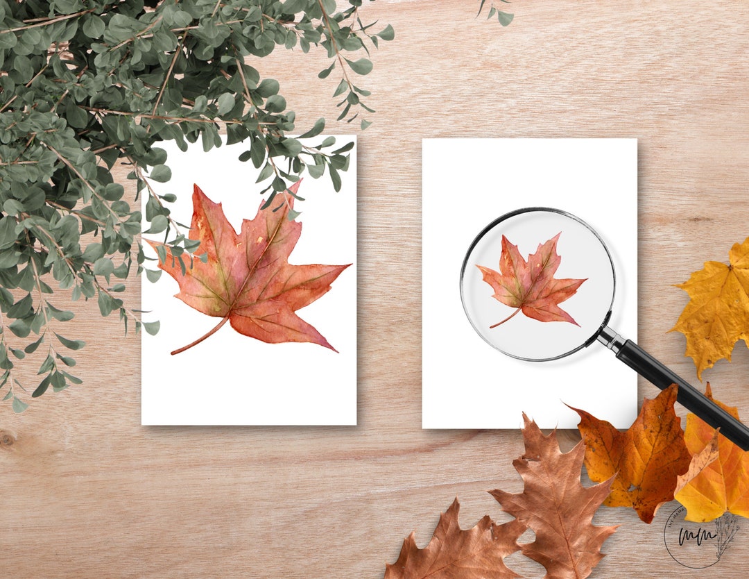 Fall Leaves Magnifying Match Activity, Montessori Autumn Activity ...