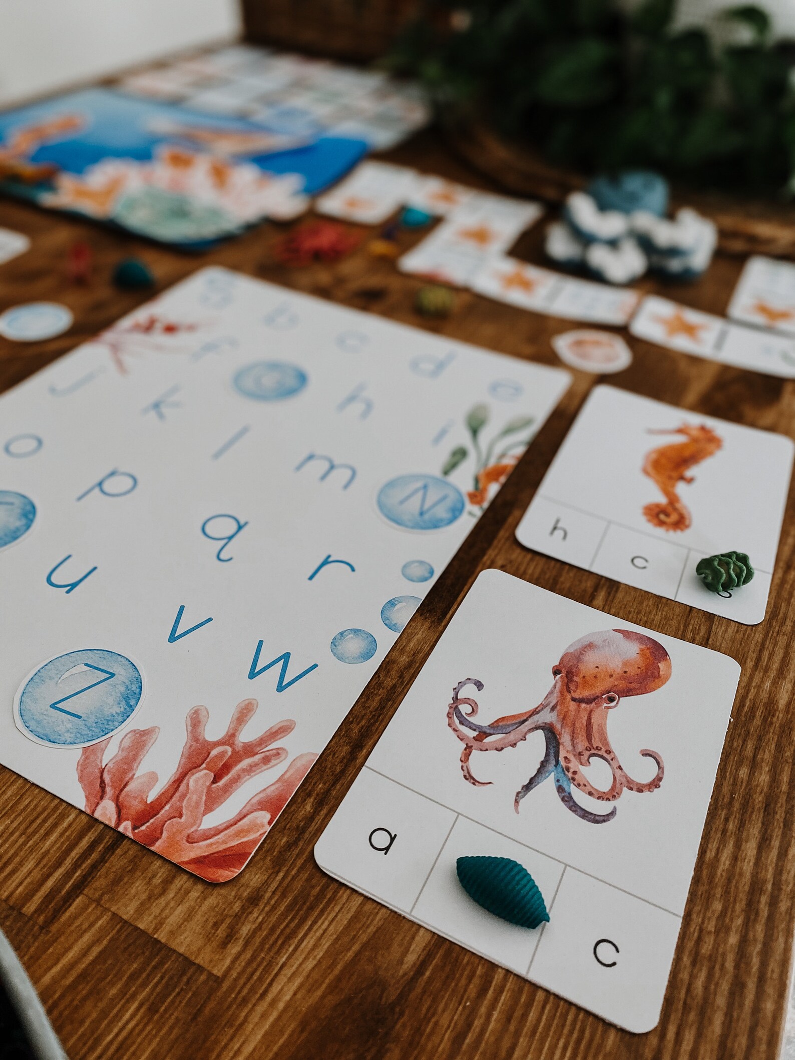 Coral Reef Activity Unit, Ocean Study Unit, 3 Part Flashcards ...