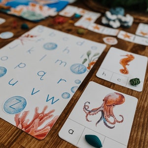 Coral Reef Activity Unit, Ocean Study Unit, 3 Part Flashcards ...
