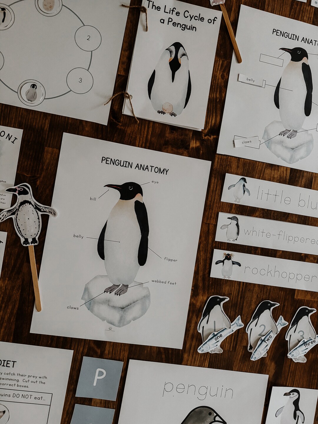 Penguin Unit Study Bundle, Penguin Study, Penguin Life Cycle, Winter ...