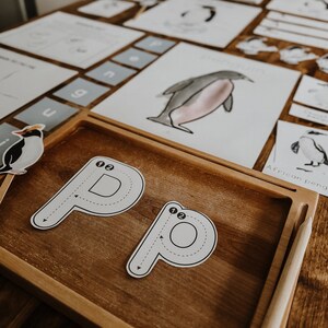 Penguin Unit Study Bundle, Penguin Study, Penguin Life Cycle, Winter ...