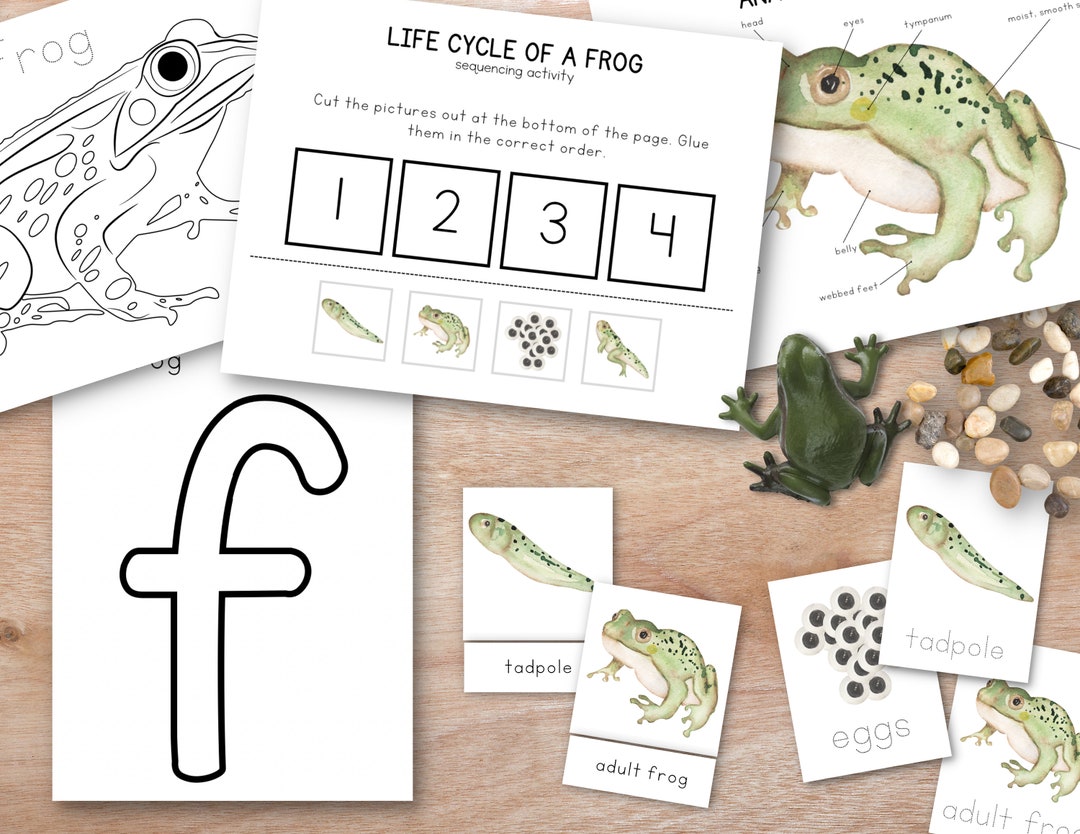 Frog Unit Study Bundle, Nature Study, Homeschool Learning Resource ...