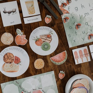 Picnic Activity Unit, Ants Montessori Unit, Nature Flashcards ...