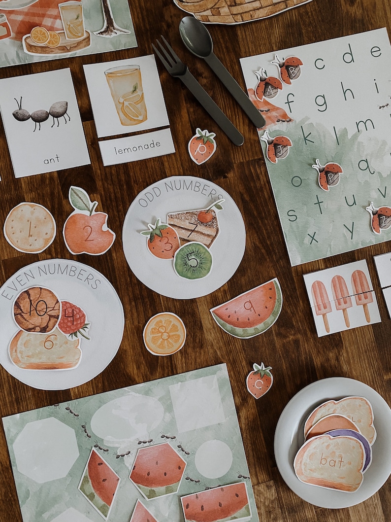 Picnic Activity Unit, Ants Montessori Unit, Nature Flashcards ...