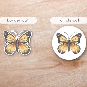 Insect Size Sorting Activity, Insect Size Match, Montessori Nature Unit ...