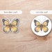 Insect Size Sorting Activity Insect Size Match Montessori - Etsy