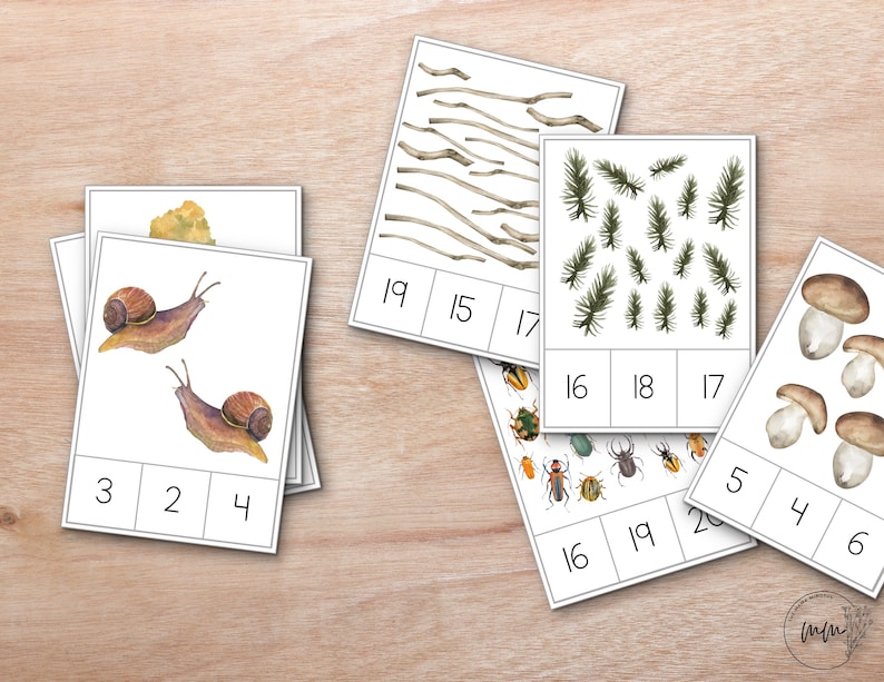 Nature Count and Clip Cards 1-20 Number Matching Cards - Etsy