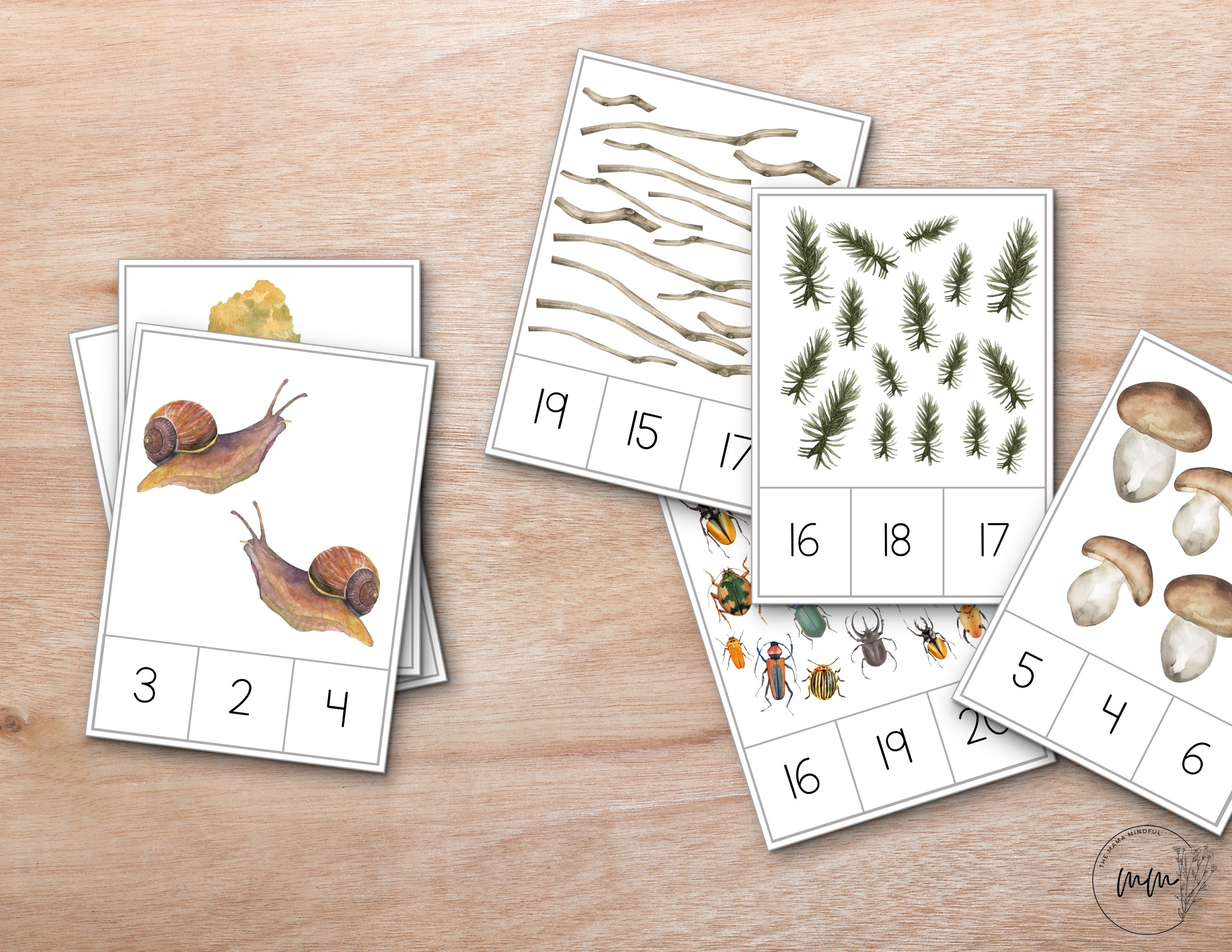 Nature Count and Clip Cards 1-20, Number Matching Cards, Counting ...
