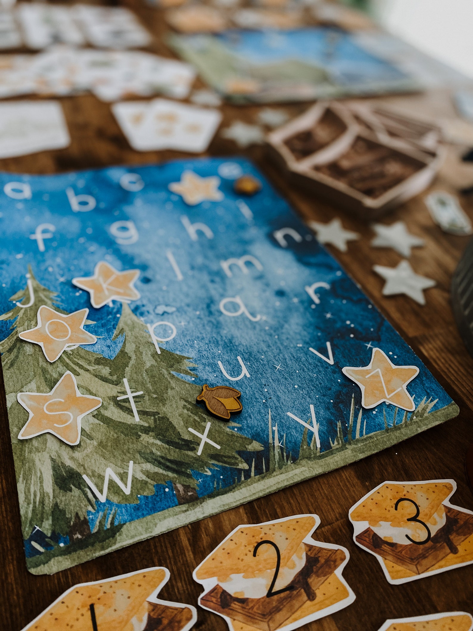 Camping Activity Unit, Camping Unit, 3 Part Flashcards, Homeschool ...