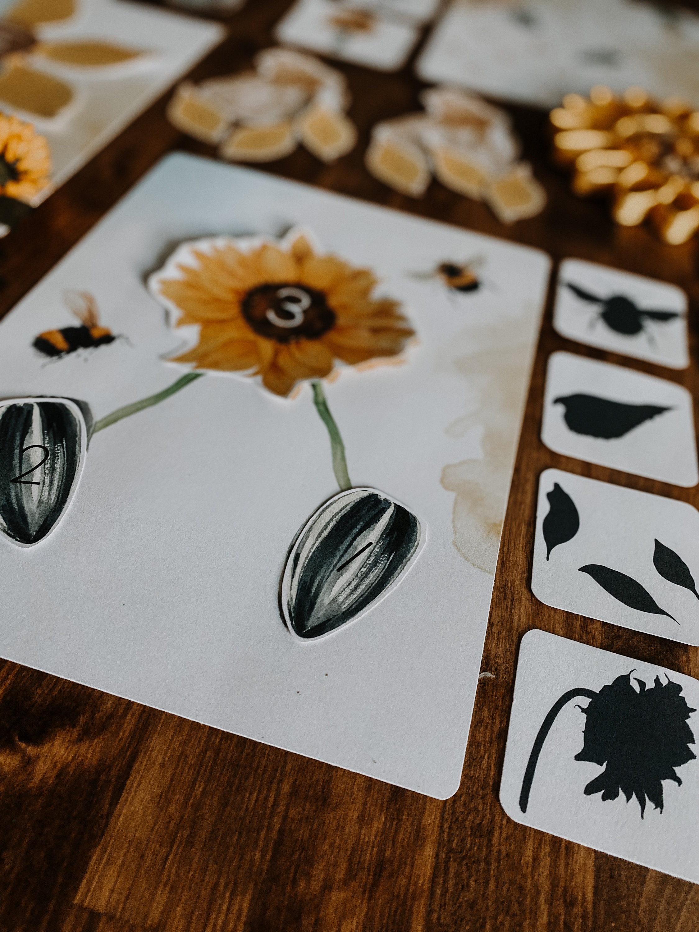 Sunflower Activity Unit, Sunflower Montessori Unit, Nature Flashcards ...