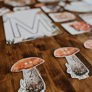 Mushroom Activity Unit, Preschool Unit, Mushroom Flashcards, Homeschool ...