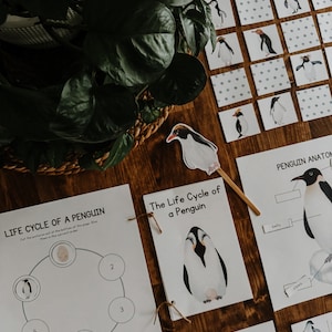 Penguin Unit Study Bundle, Penguin Study, Penguin Life Cycle, Winter ...