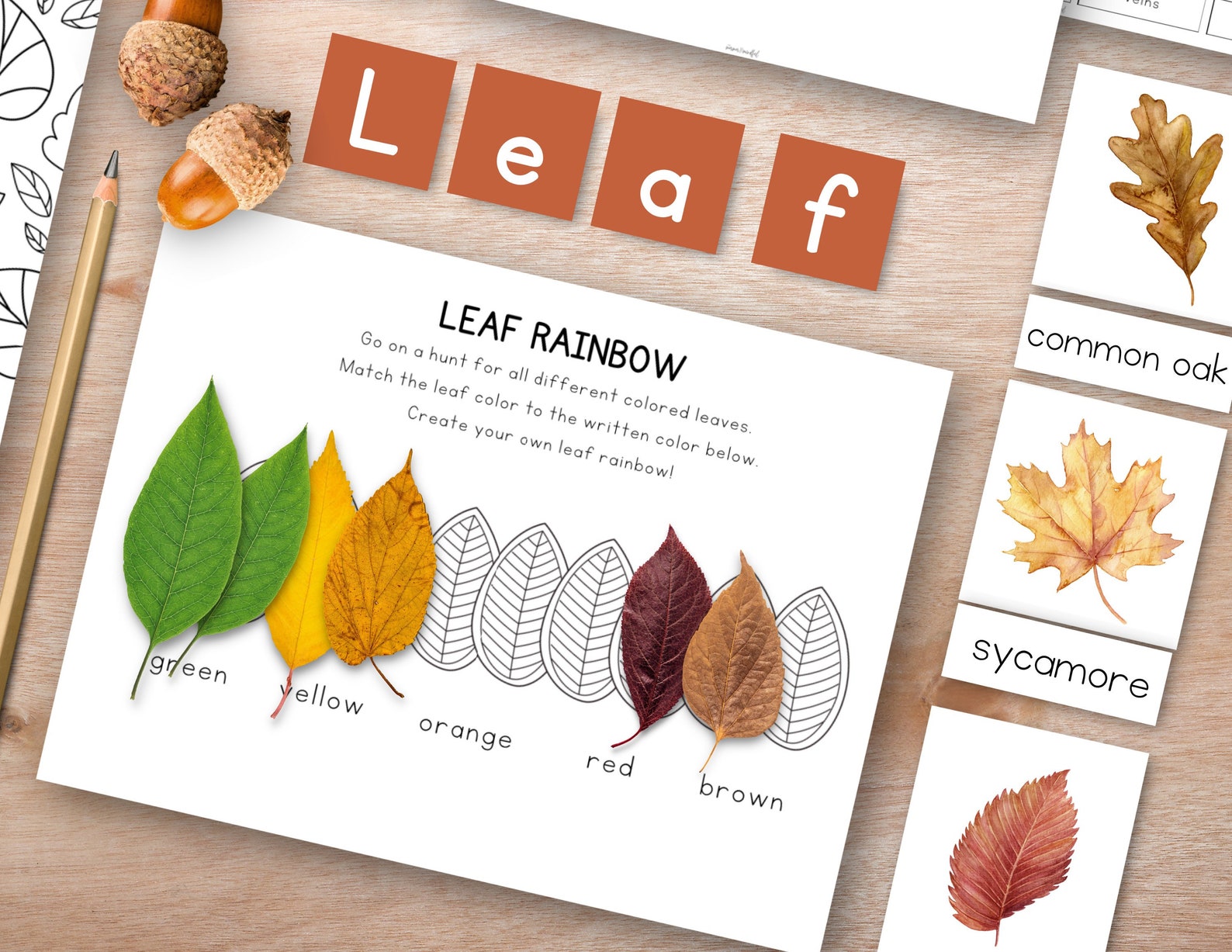 Fall Unit Study Bundle Leaves Unit Study Homeschool Learning - Etsy