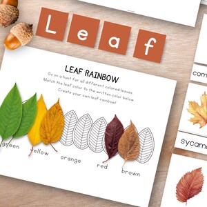 Fall Unit Study Bundle, Leaves Unit Study, Homeschool Learning ...