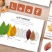 Fall Unit Study Bundle, Leaves Unit Study, Homeschool Learning ...