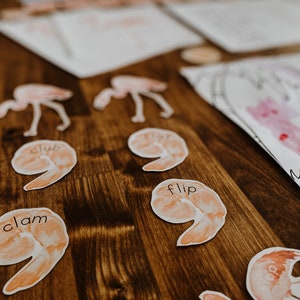 Flamingo Activity Unit, Tropical Bird Unit, 3 Part Flashcards ...