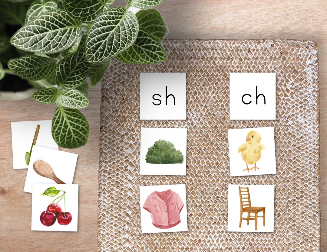 Preschool Phonics Picture Matching Sound Cards, Montessori Phonics ...