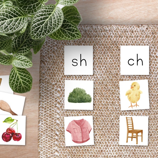 Kindergarten Picture Cards - Etsy