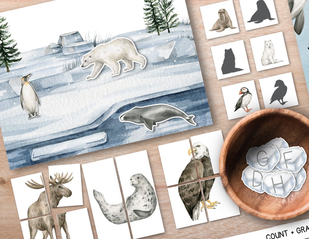 Arctic Animal Activity Unit, Winter Montessori Unit, Nature Flashcards ...