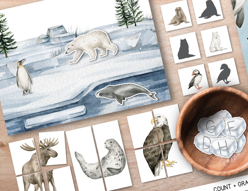 Arctic Animal Activity Unit Winter Montessori Unit Nature - Etsy