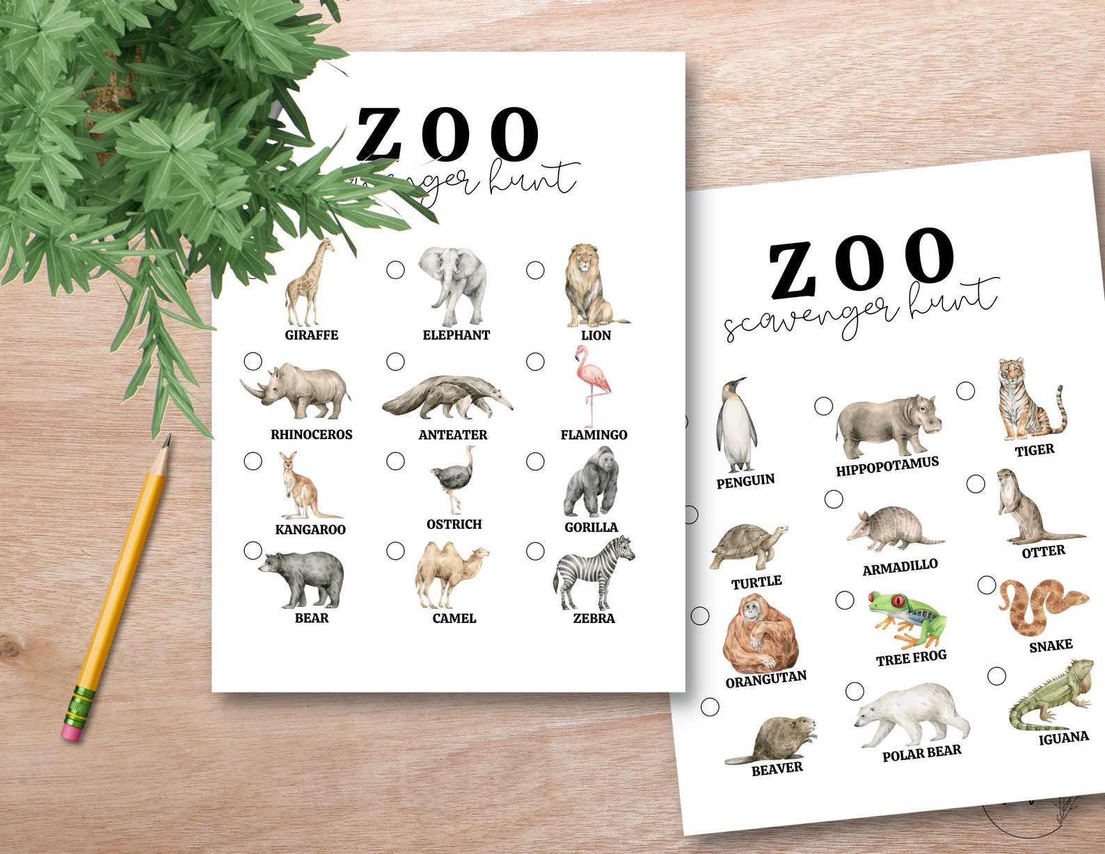 Zoo Scavenger Hunt Outdoor Nature Scavenger Hunt Montessori | Etsy