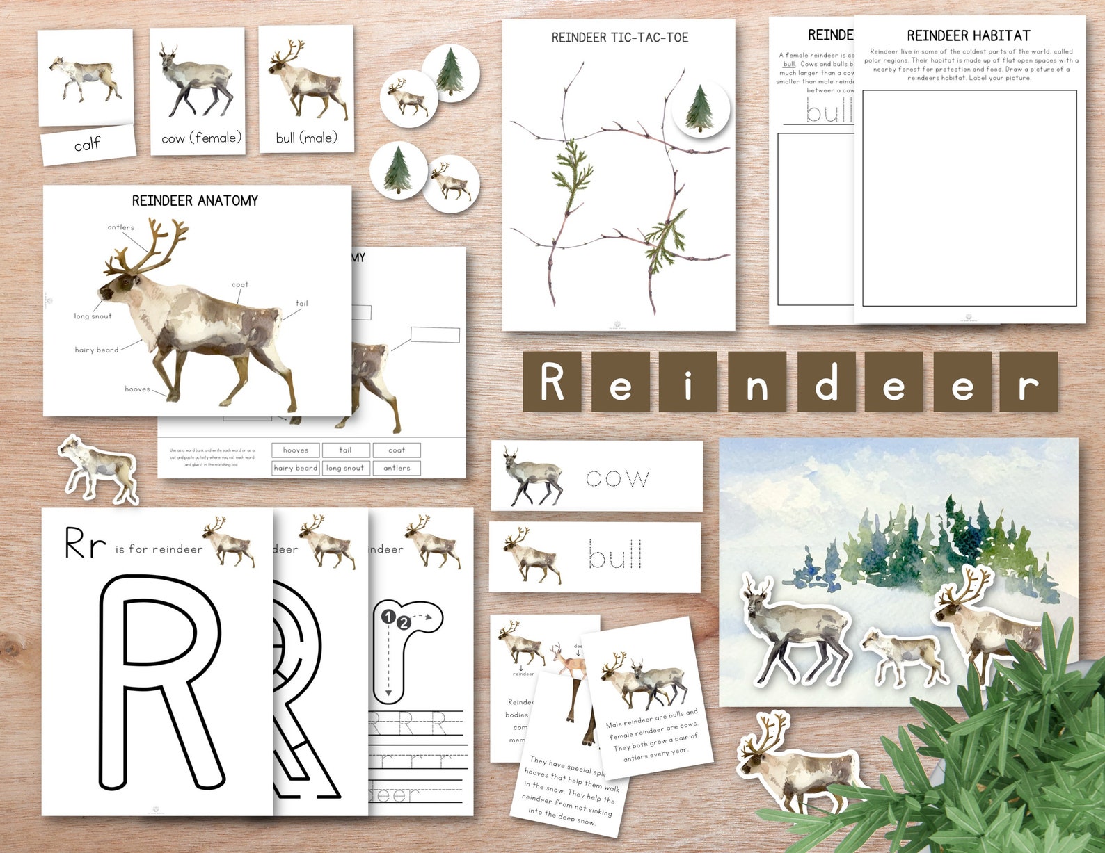 Winter Unit Study Bundle, Reindeer Unit Study, Homeschool Learning ...