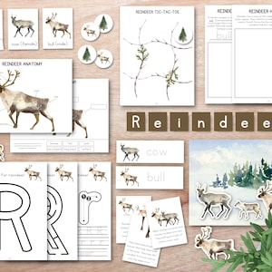 Winter Unit Study Bundle, Reindeer Unit Study, Homeschool Learning ...