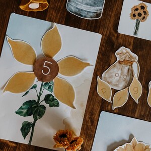 Sunflower Activity Unit, Sunflower Montessori Unit, Nature Flashcards ...