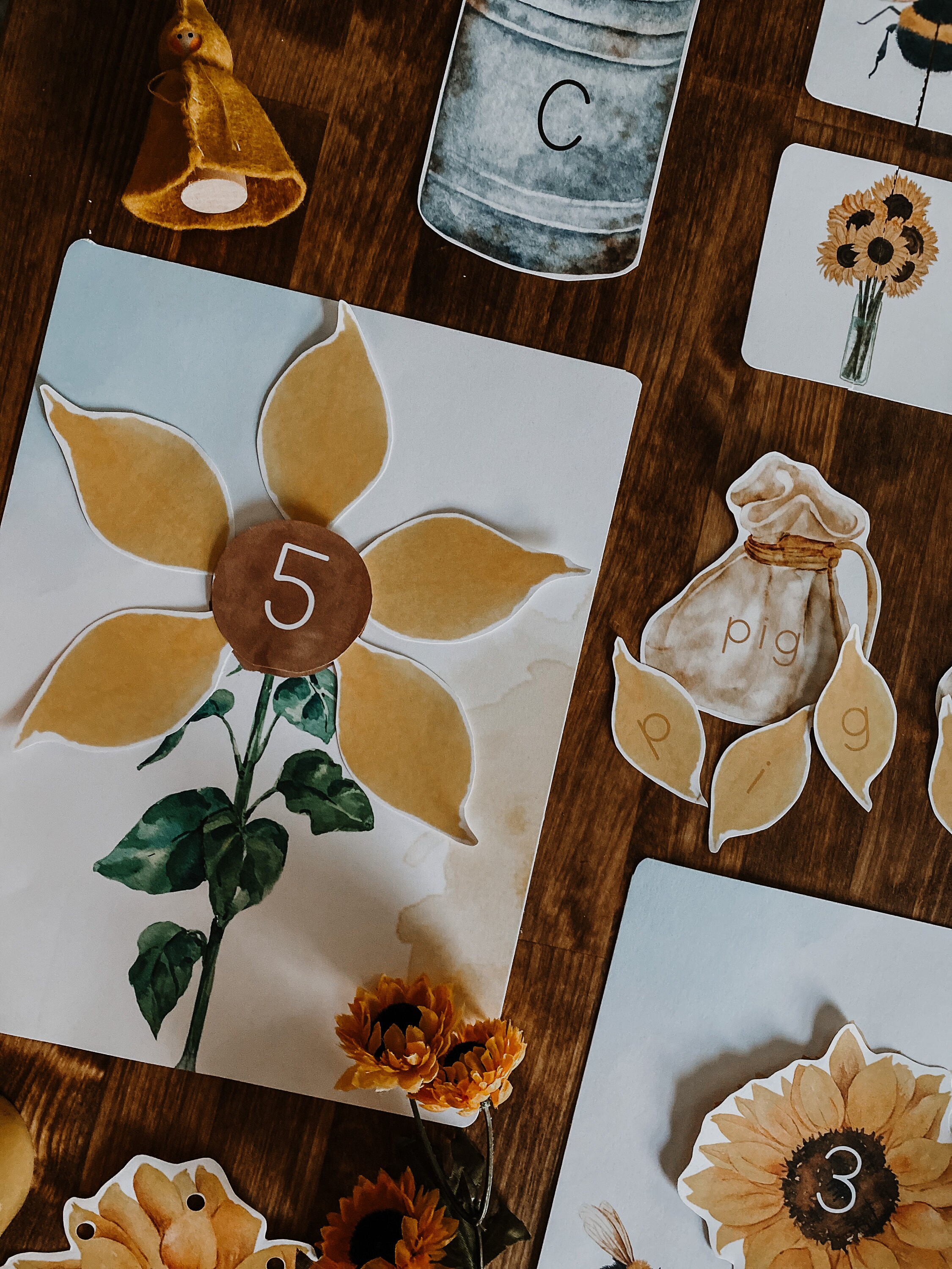 Sunflower Activity Unit, Sunflower Montessori Unit, Nature Flashcards ...