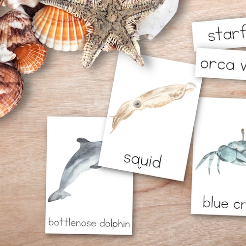 Montessori Garden 3 Part Cards Garden Flashcards Preschool - Etsy Canada