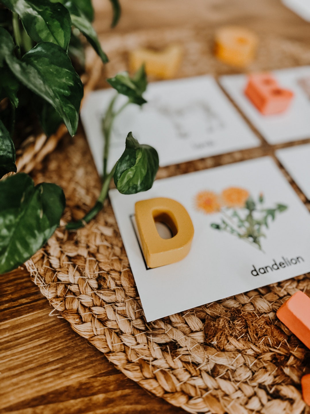 Spring Cards for Kids, Spring Theme Flashcards, Spring Preschool ...