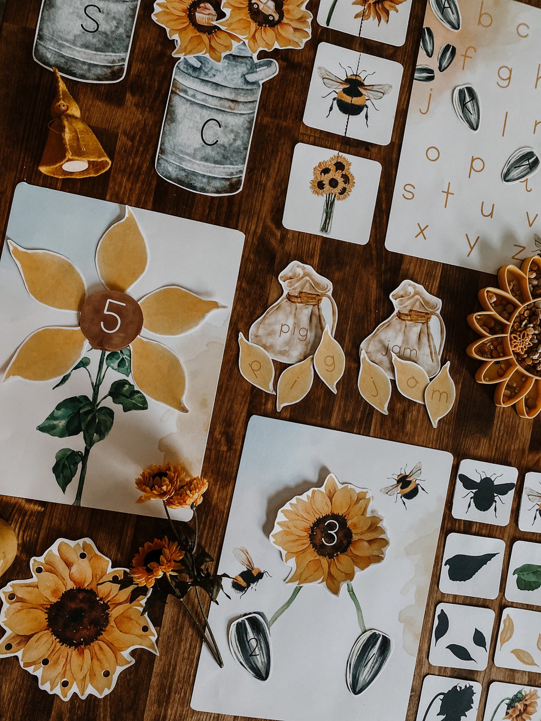 Sunflower Activity Unit, Sunflower Montessori Unit, Nature Flashcards ...