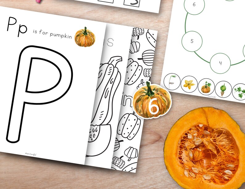Pumpkin Unit Study Pumpkin Life Cycle Fall Montessori Unit - Etsy