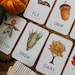 Fall Movement Cards, Autumn Flash Cards, Calming Corner Activity, Kids ...