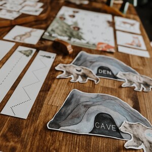 Woodland Animals Activity Unit, Forest Montessori Unit, Nature ...