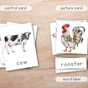 Farm Animal Flashcards Language Cards, 3 Part Montessori Nomenclature ...