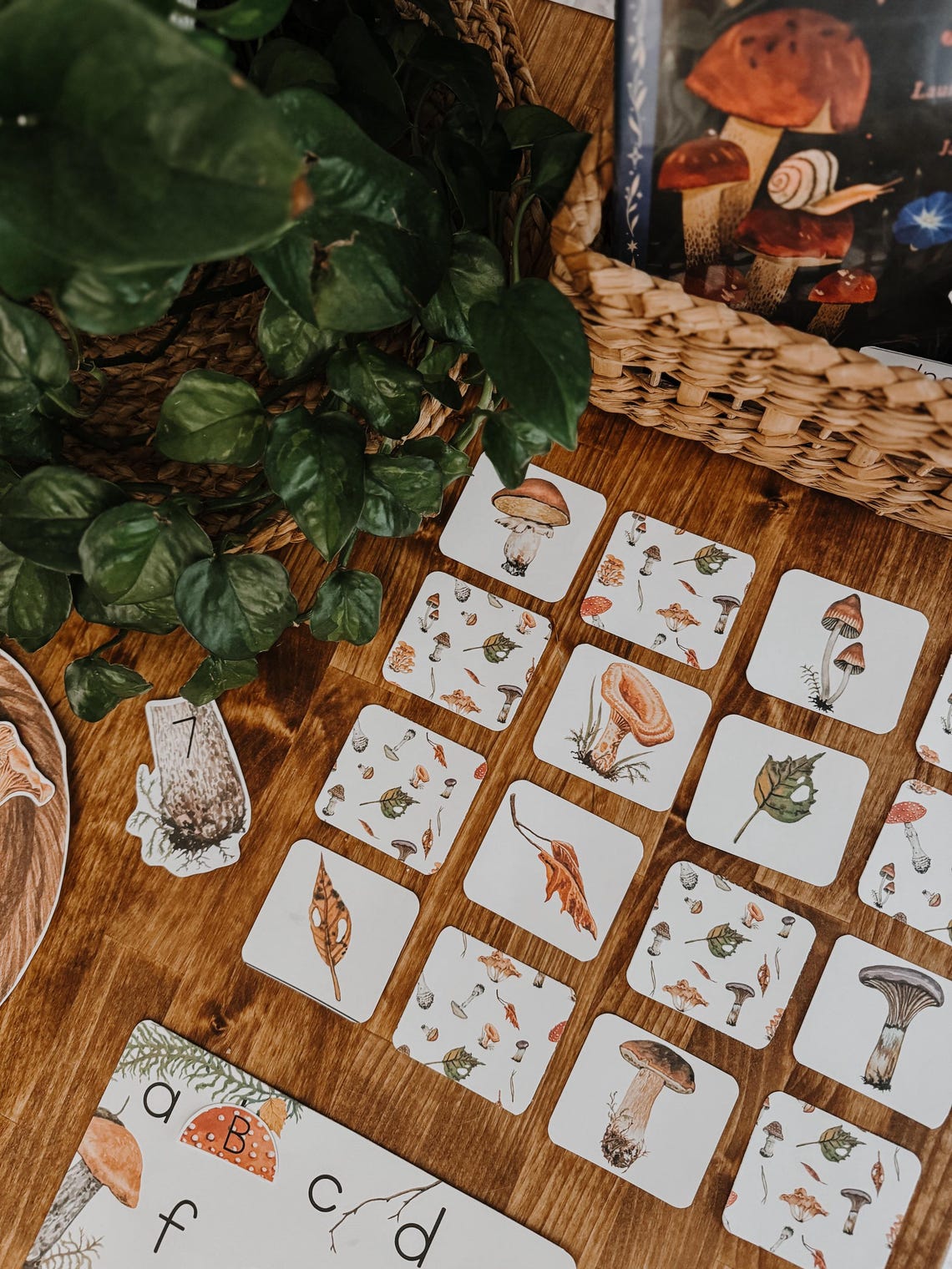 Mushroom Activity Unit, Preschool Unit, Mushroom Flashcards, Homeschool ...