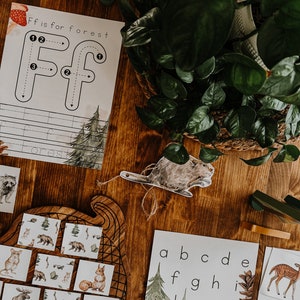 Woodland Animals Activity Unit, Forest Montessori Unit, Nature ...